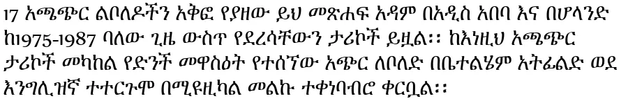 አለንጋና ምስር Amharic book by Adam Reta | Ethio Book Review