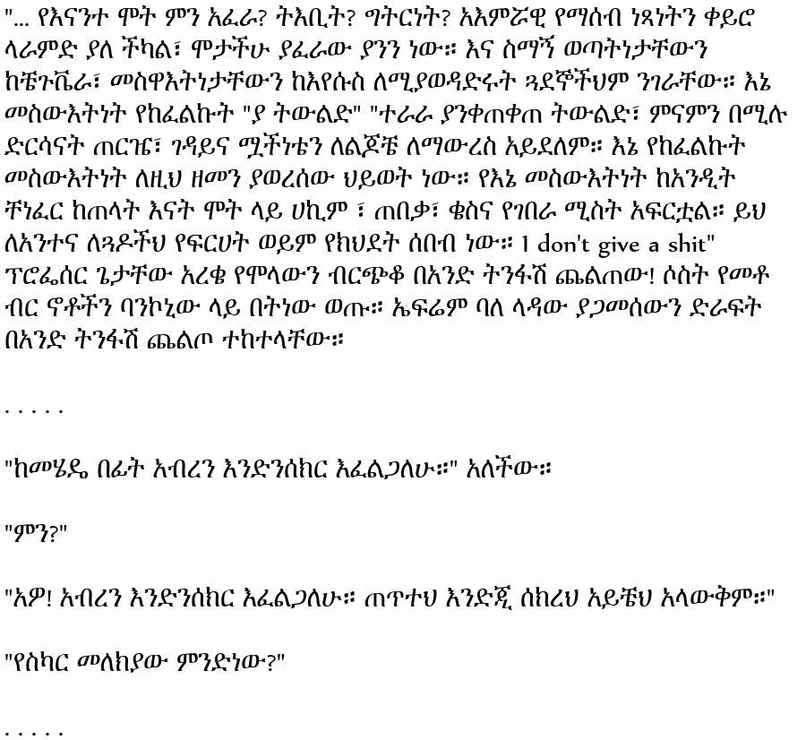 ችካል እና እርምጃ Amharic book by Bedilu Wakjira | Ethio Book Review